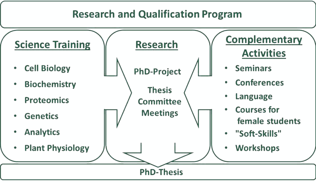 About – Research Training Group 2498