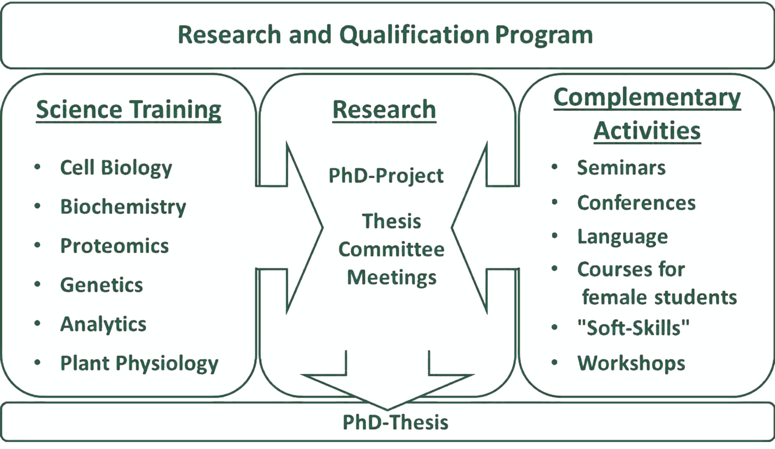About – Research Training Group 2498